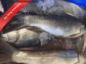Frozen Keski Fish - Nghi Son Foods Group