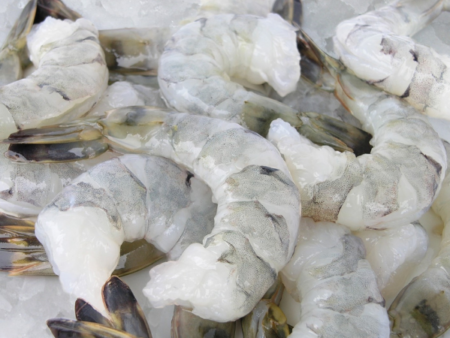 Frozen Raw PDTO vannamei shrimp - Nghi Son Foods Group